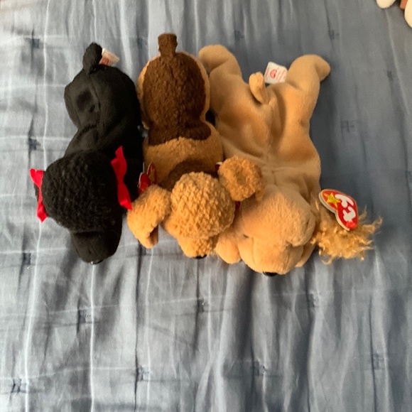 Ty | Toys | Ty Beanie Babies Dog Set Of Three | Poshmark
